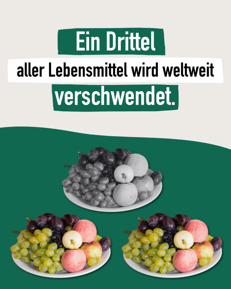 Tag gegen Lebensmittelverschwendung: Lebensmittel retten für Mensch und Klima - Blog | Tafel ...