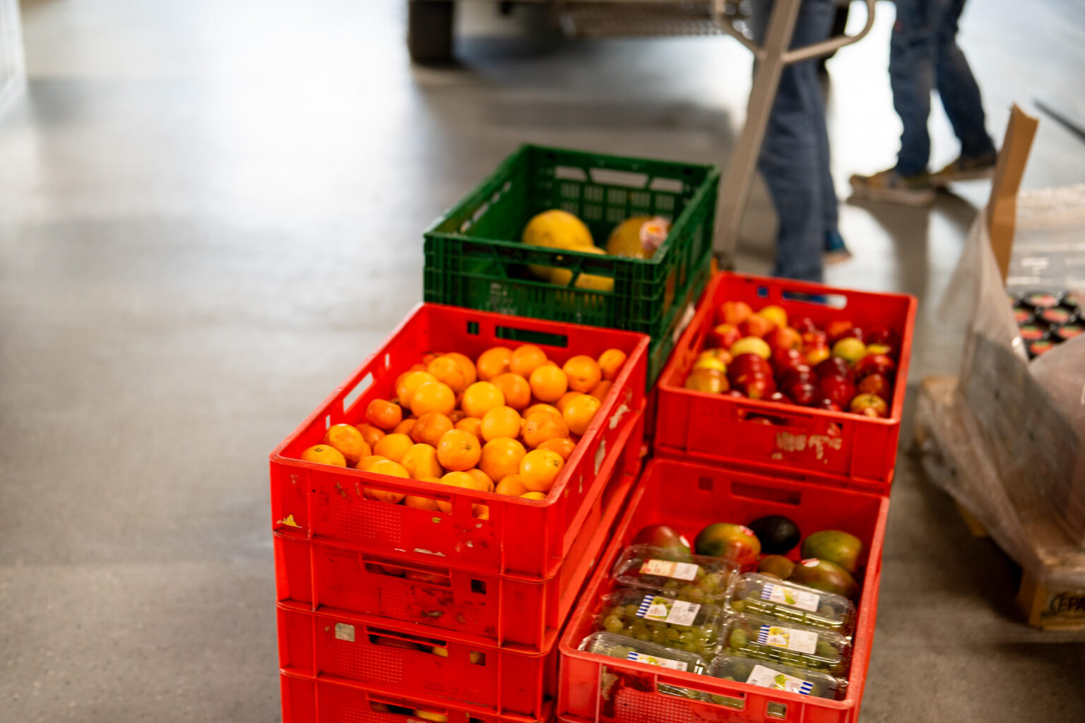 Tag gegen Lebensmittelverschwendung: Lebensmittel retten für Mensch und Klima - Blog | Tafel ...