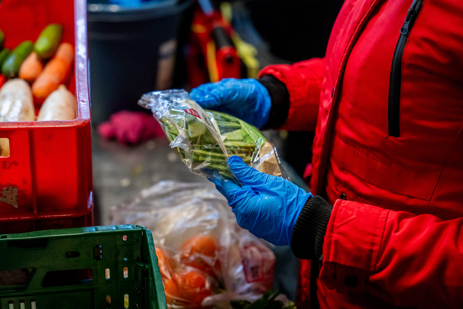 Tag gegen Lebensmittelverschwendung: Lebensmittel retten für Mensch und Klima - Blog | Tafel ...
